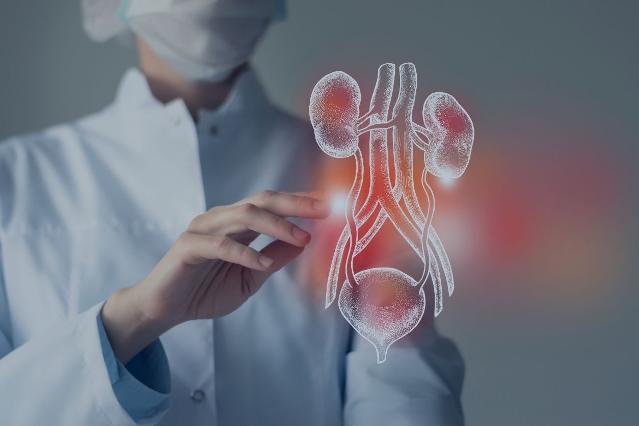Kidney Specialists/ Nephrology - Wright County - Stellis Health